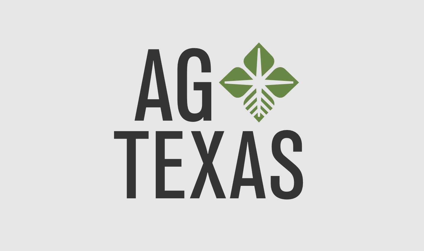 Logo Layout Options – AgTexas